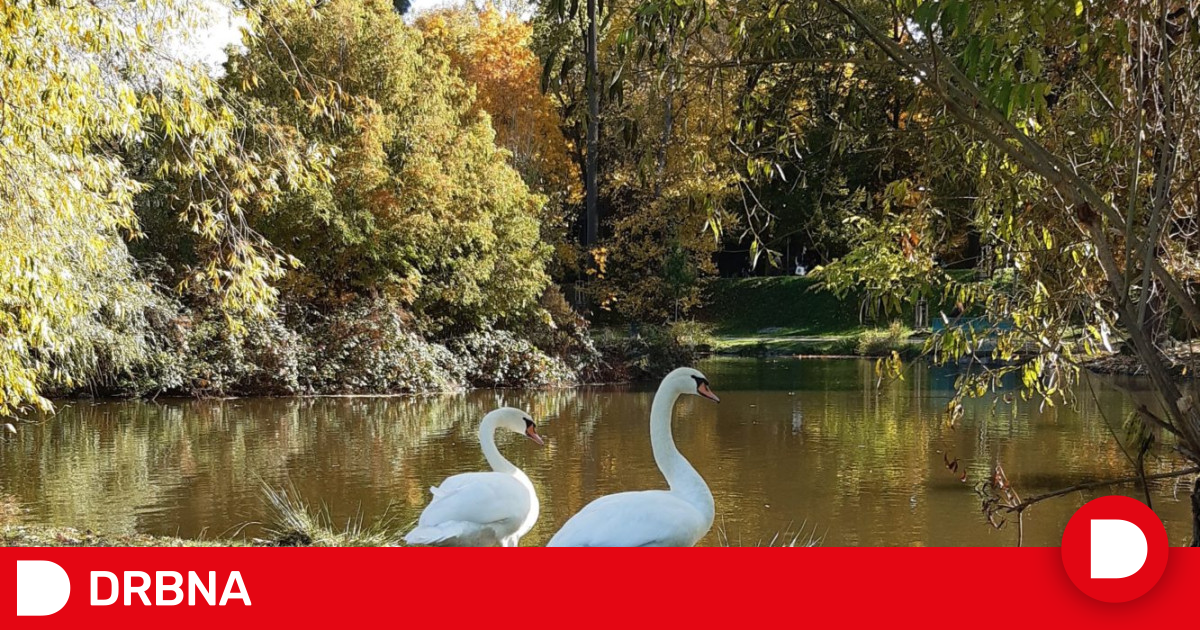 S blížícím se jarem přichází i hnízdění ptáků ve Stromovce. Správa ...