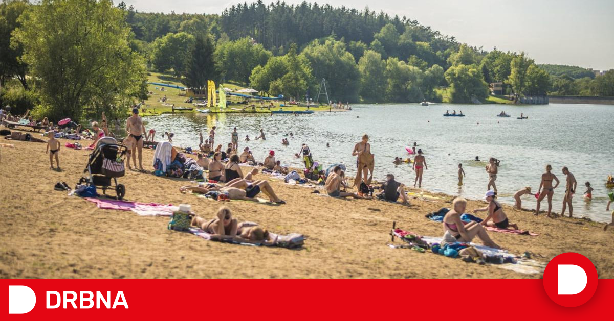 PŘEHLED: Přírodní koupání si můžete užít i v Praze. Kam vyrazit za osvěžením?