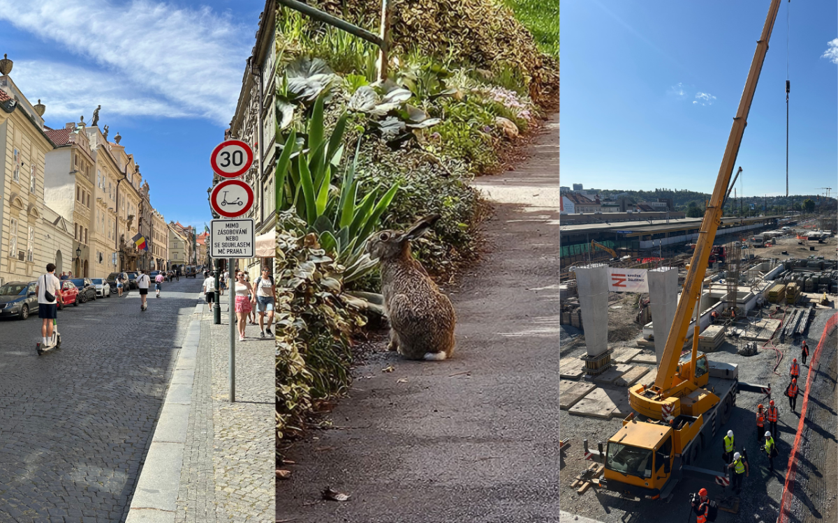SRPEN 2025: Boj proti koloběžkám, život zajíců v Praze a prohlídka nádraží Smíchov